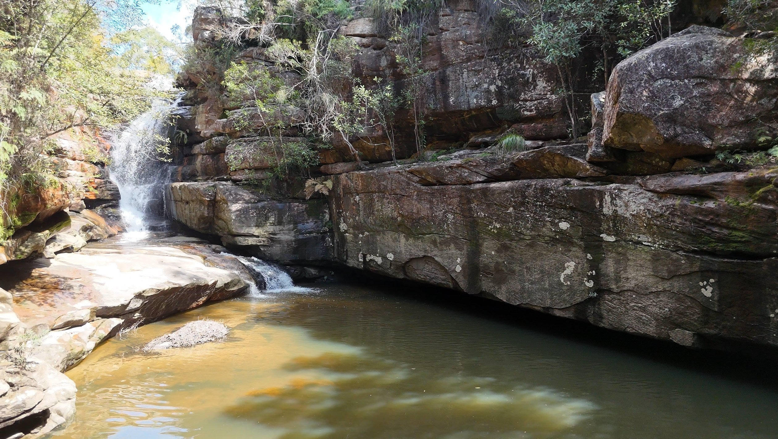 Lower Gledhill Falls | Hidden Waterfall Swimming Guide Northern Beaches ...