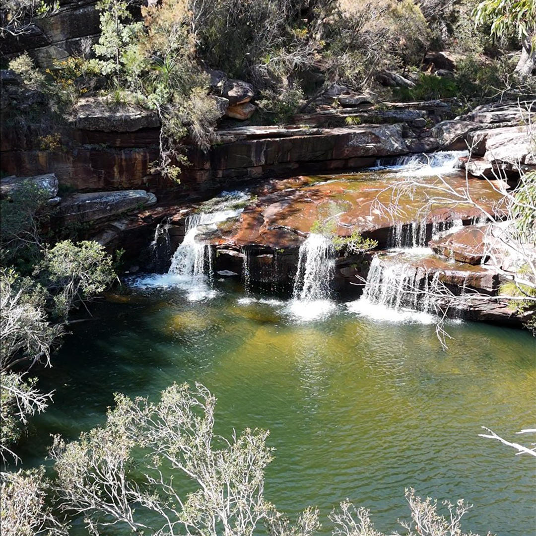 Winifred Falls Royal National Park | Waterfall Swimming Guide Sydney ...